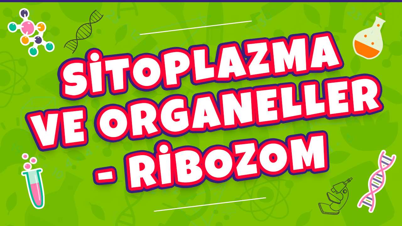 Tonguç Plus - 9.Sınıf Taktiklerle Soru Çözümü - Çekirdek ve Sitoplazma ...