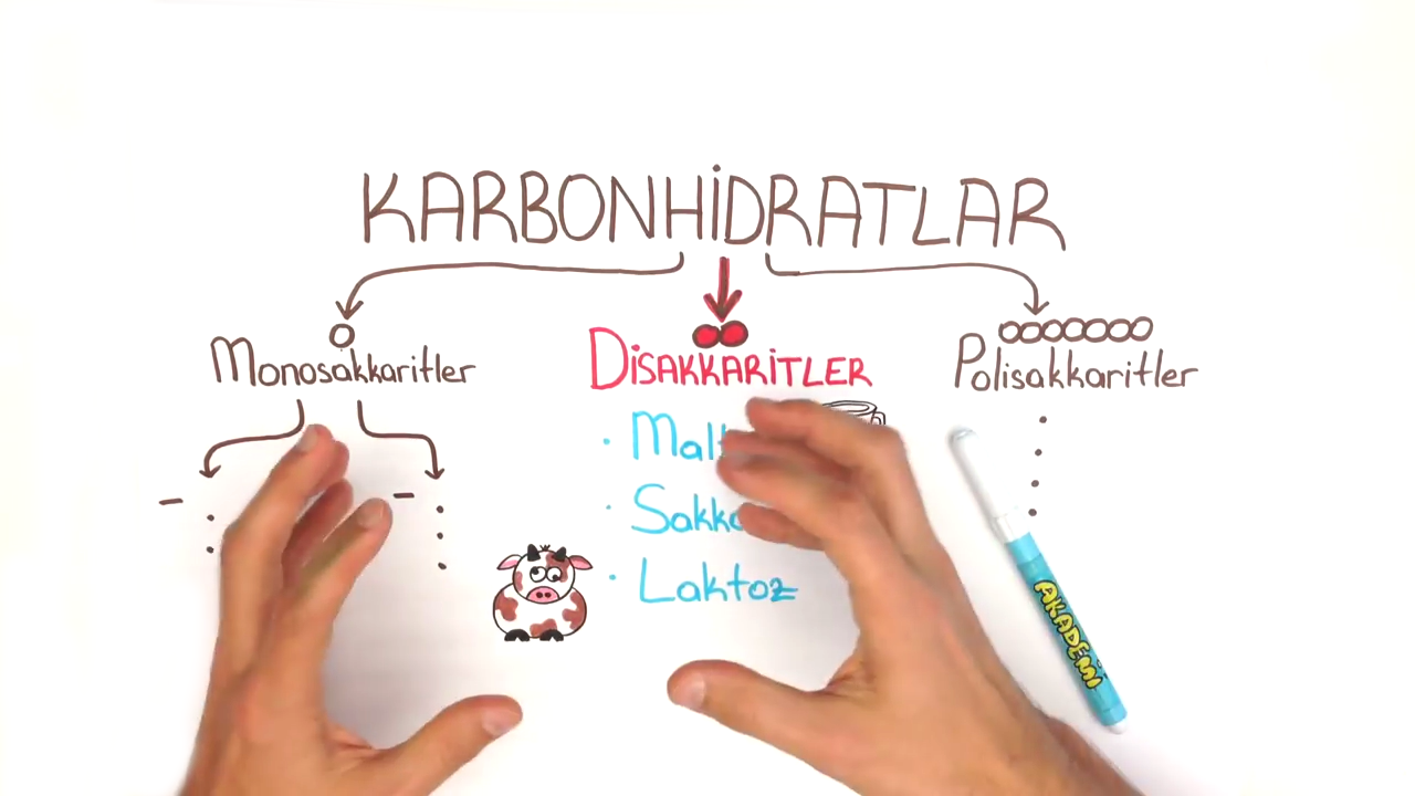 9.Sınıf Monosakkaritler Konu Anlatımı - Tonguç Akademi