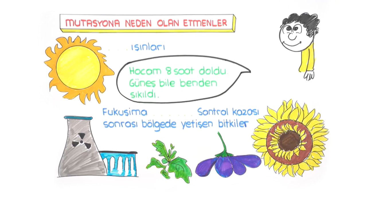 8.Sınıf Fen Bilimleri DNA ve Genetik Kod Konu Anlatımları - Tonguç Akademi